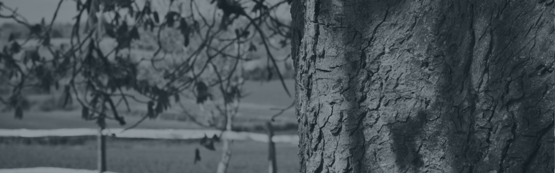 What our clients say - Consult Paradigm