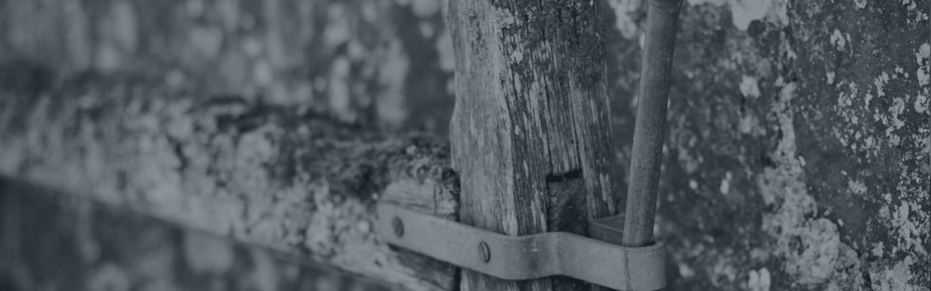 Who we are - Consult Paradigm